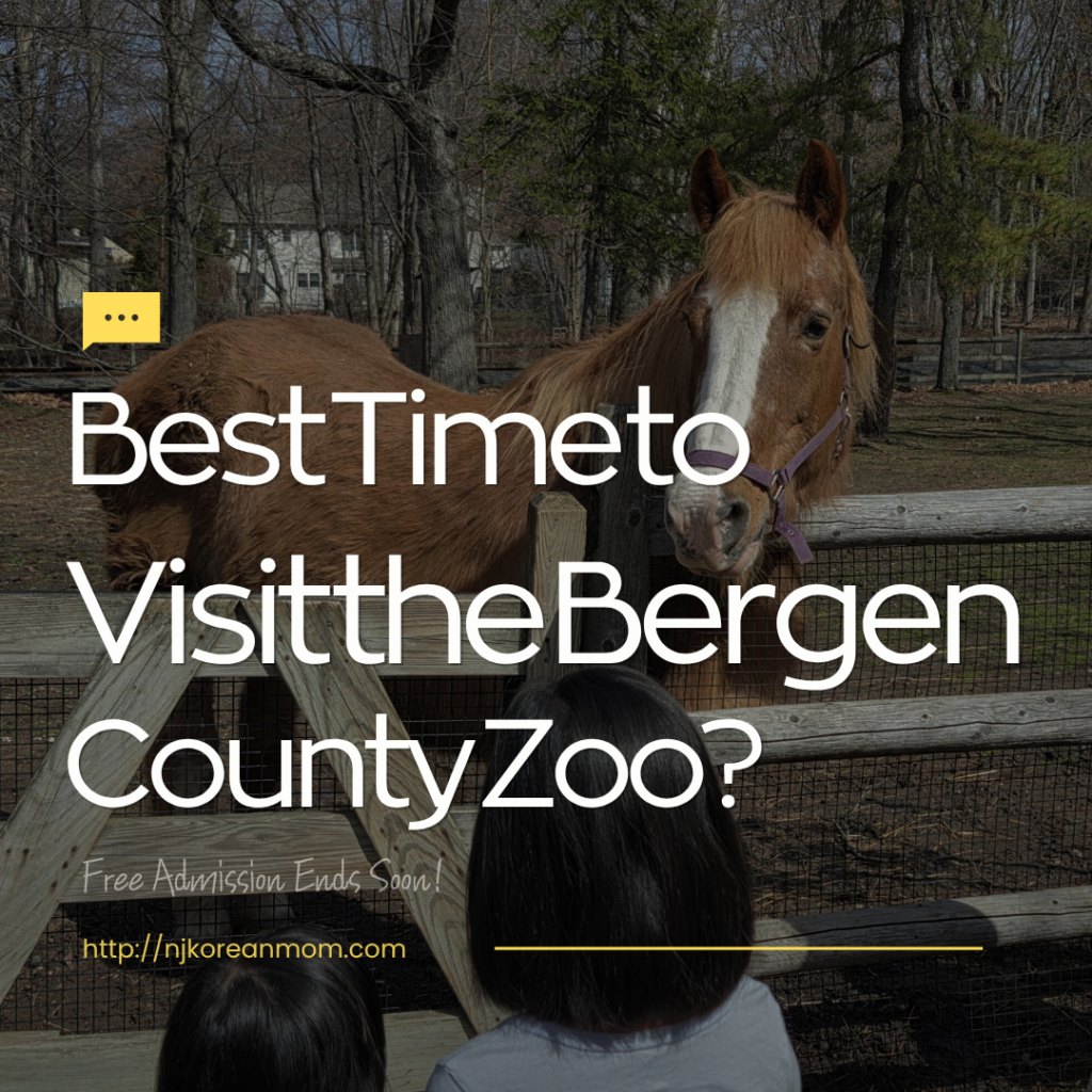 Why Now is the Best Time to Visit Bergen County Zoo (Free Entry)